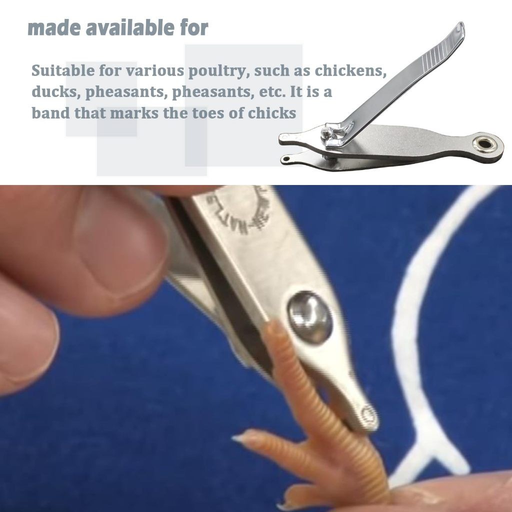 2mm Stainless Steel Chicks Toe Puncher Gamefowl Rooster Puncher Pliers ...