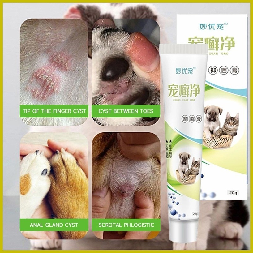 Dog Ointment For Skin Disease Gamot Sa Galis Ng Aso Healing Wounds ...