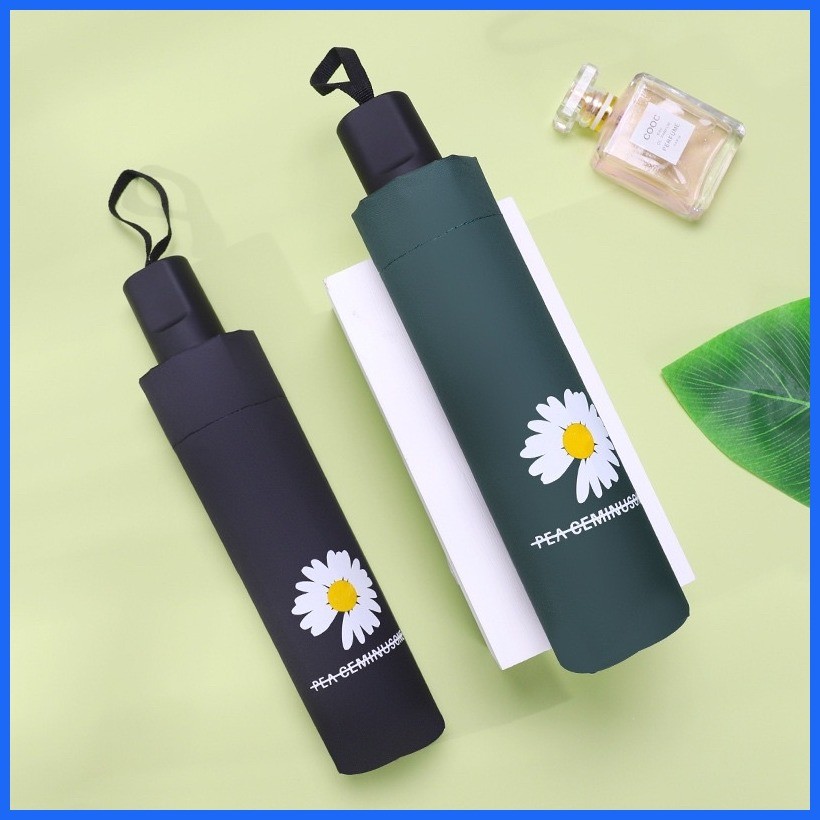 ∲ daisy Ultraviolet Folding Umbrella(manual) | Shopee Philippines