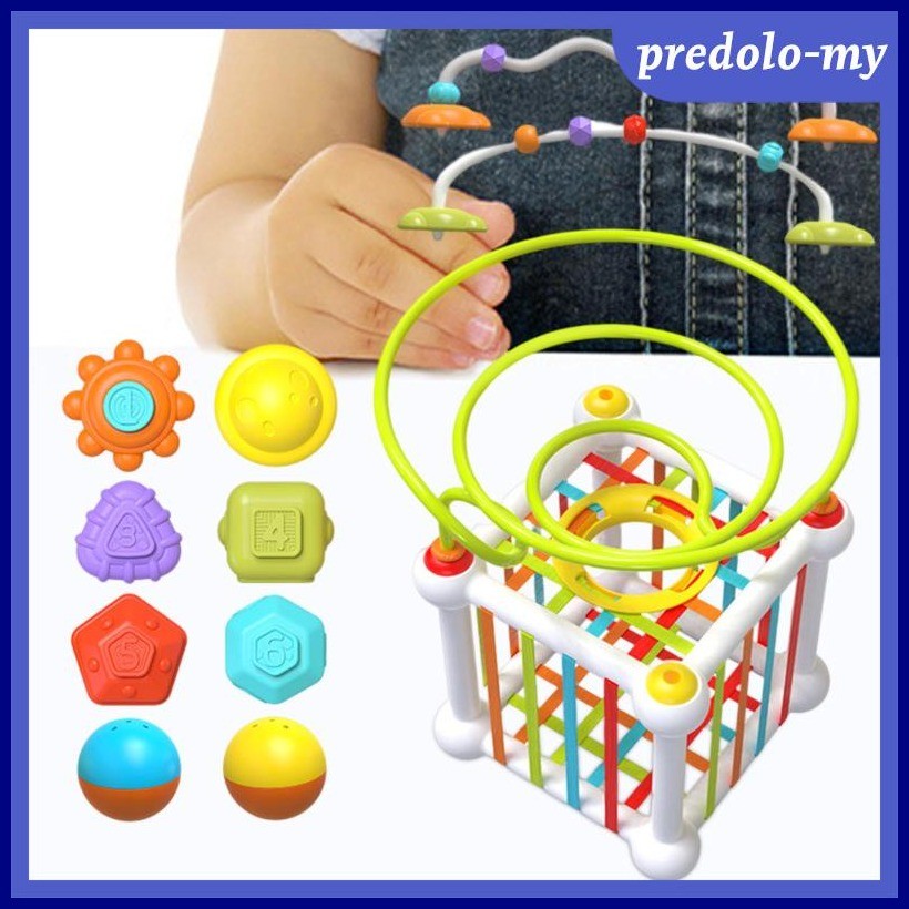 [PredoloMY] sensory Shape Sorter Blocks Textured Balls Sorting Games ...