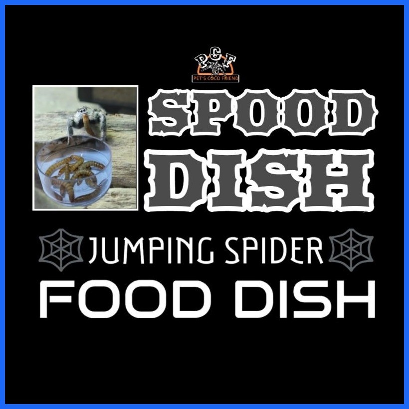 ↂ Jumping spider food dish | Shopee Philippines