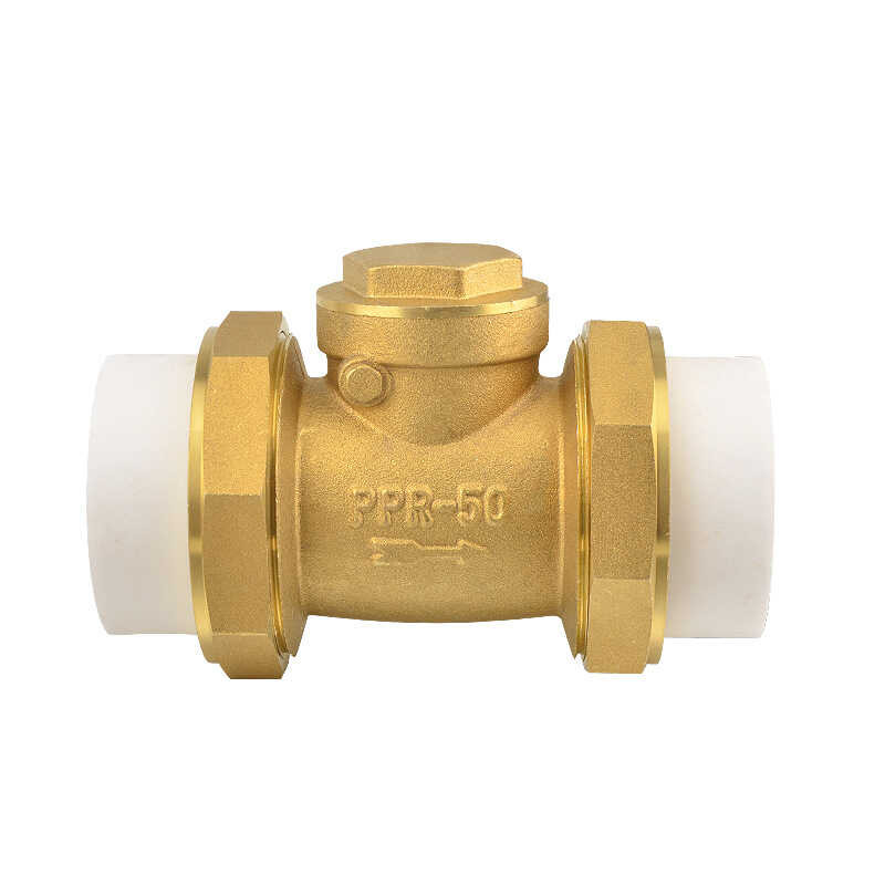Brass PPR Check Valve Union Horizontal Check Valve One-Way Valve Check ...