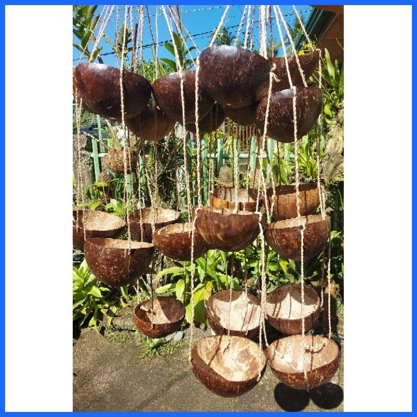 ∷ ⚠️ Hanging Pot/ Coco pot/ Coconut Shell | Shopee Philippines