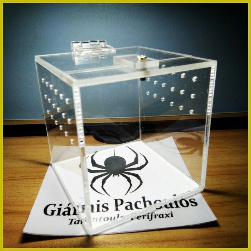 3x3x3 acrylic enclosure for sling tarantula and scorpion | Shopee ...