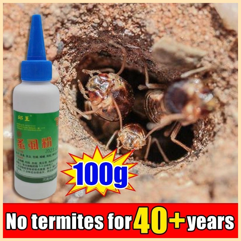 More stronger effects BS Termite powder Termite bait Anti anay for wood ...