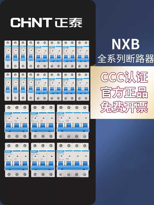Chint NXB-63 1P Household 2P Circuit Breaker 3P Main Switch 32A ...