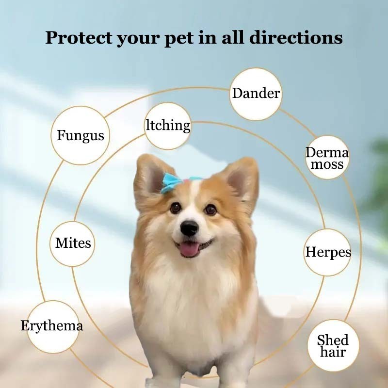 100% Cure Pet Skin Treatment Spray Pet Anti Fungal Spray Pet Mite ...