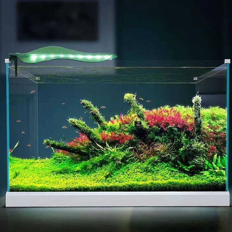 COD Aquarium LED Lights Creative Light Tanks Usb Mini Clip Waterproof ...