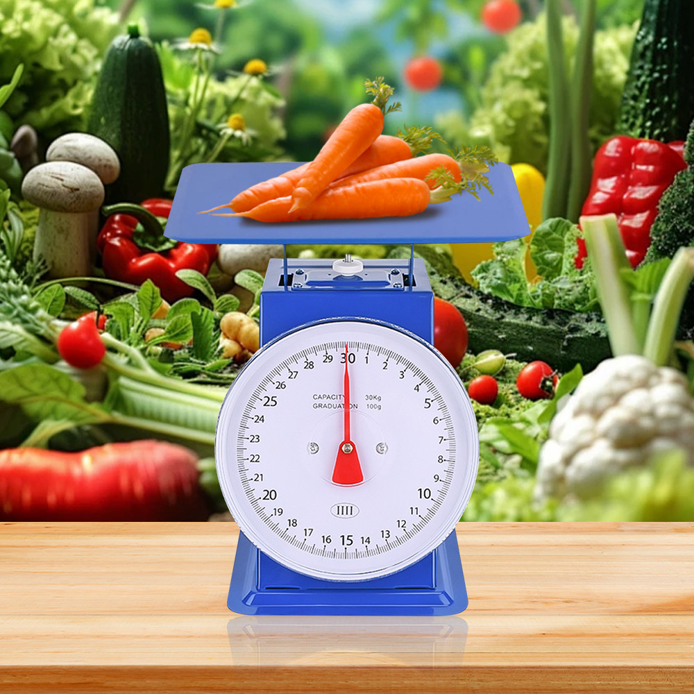 10/20/30kg Weighing Scale Table Scale General Master Electric Digital ...