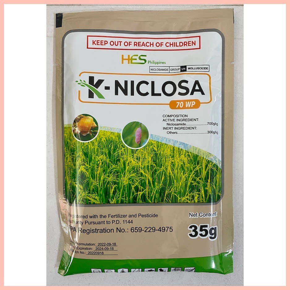 ⚡ K-NICLOSA SNAIL KILLER FOR CONTROL GOLDEN KUHOL INFESTING RICE ...