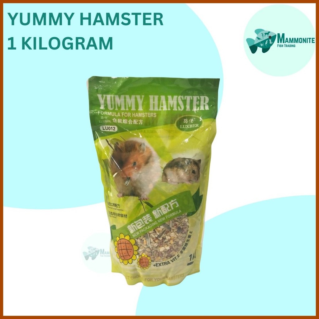 Hamster Food Pet Hamster Yummy Food Mix Yummy Hamster Food with ...