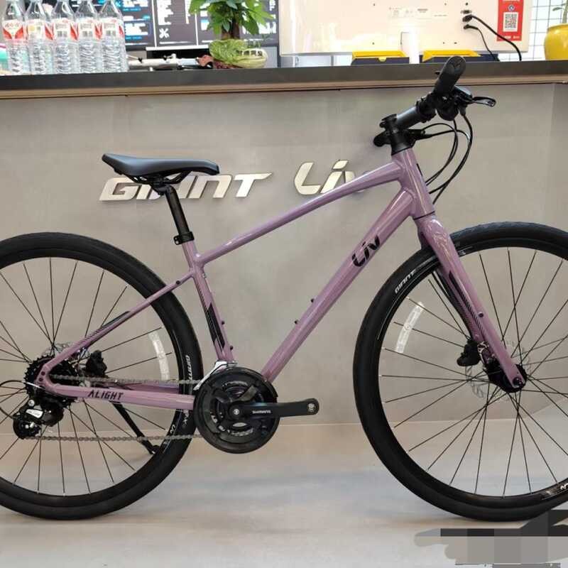 Giant Liv Alight 2DD Disc Women's Flat Handle 16 Speed Commuter Road ...
