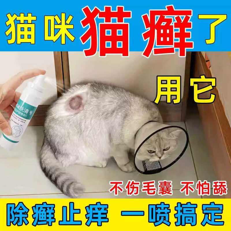 Cat Skin * Disease Spray Fungal Infection Eczema Ringworm Hair Loss ...