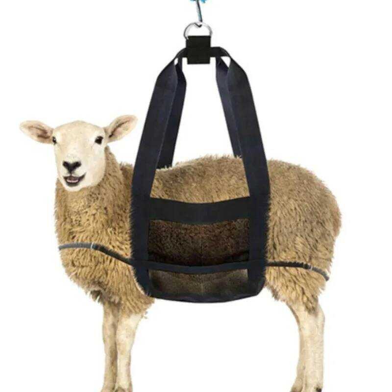 Cattle 3 7 Suspension Scale, Livestock Sg, Animal Tle And Sheep Scale ...