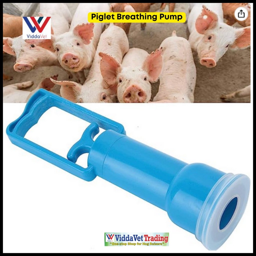 Pig Rebreather Livestock Breathing Pump Piglet Rebreather Piglet ...