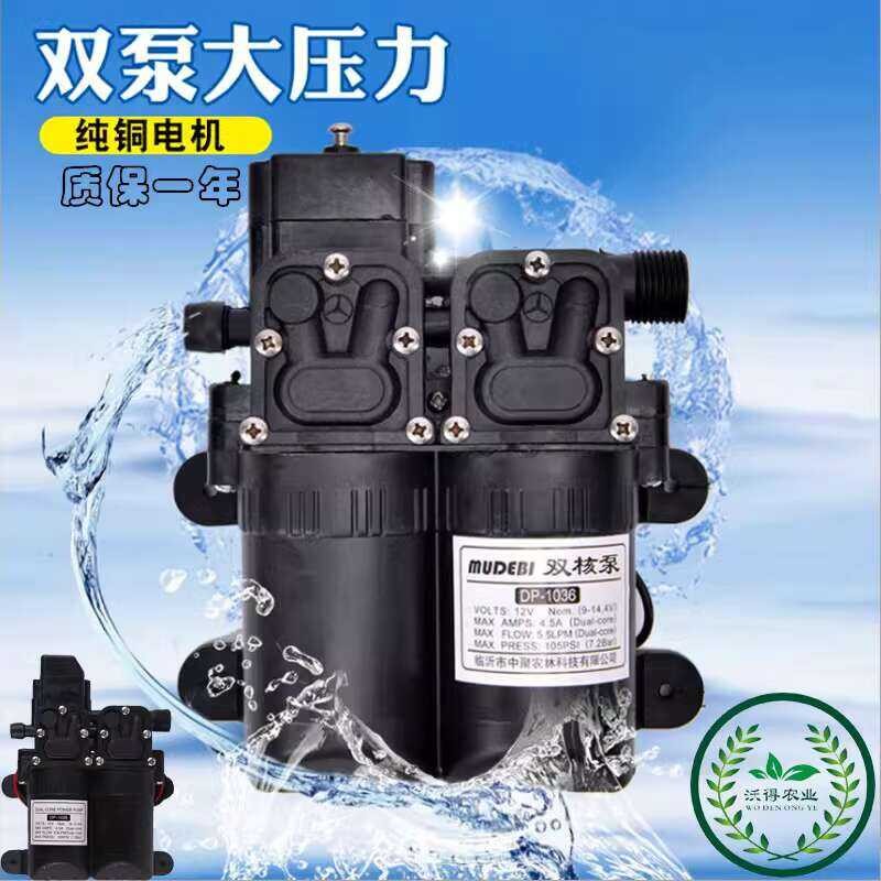 12V Core Power Water Agricultural Electric Sprayer Motor Modified Dual ...