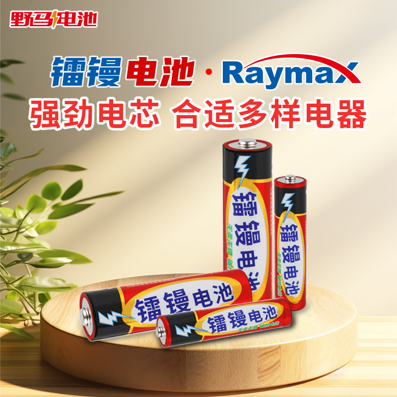 NuoMa Battery Raymax/AA AAA Combination Pack Alkaline/e Keyboard/Toys/1 ...