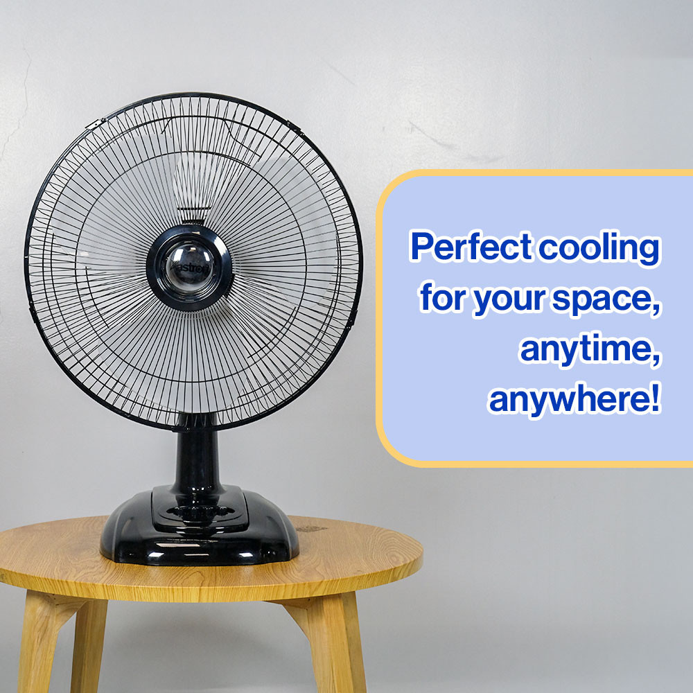 16 inch desk fan, windpower desktop fan buy 1 take 1 3 speed 5 Blades ...