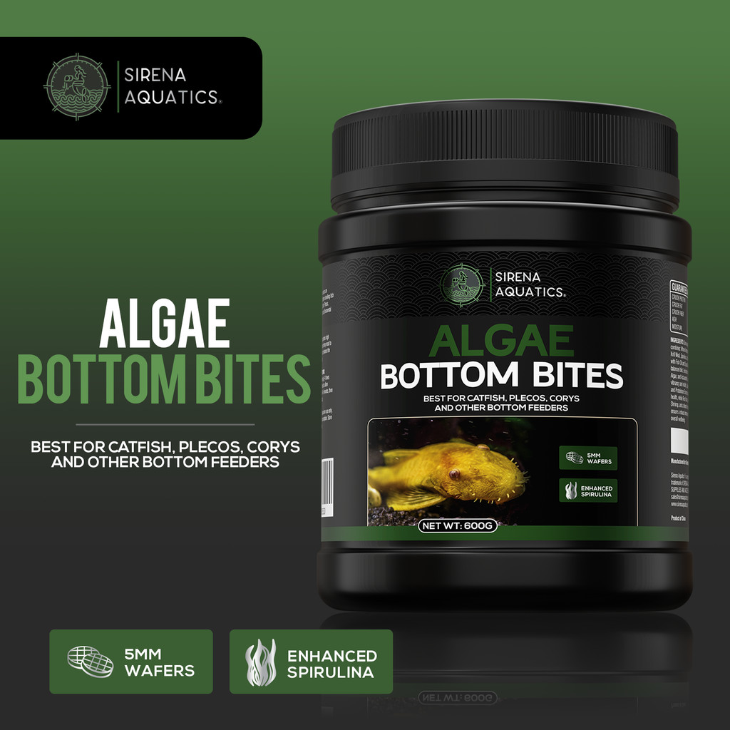Sirena Aquatics Algae Bottom Bites For Bottom Dwelling Aquarium Fish ...