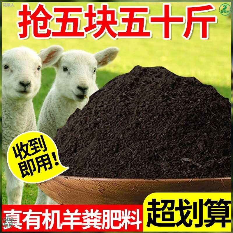 Pure Biological 50kg Fermented Organic Flowers Compound Fertilizer Dry ...