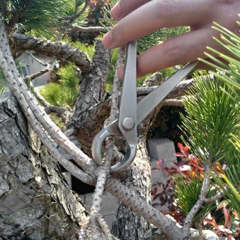 Stainless 180Mm Steel Knob Cutter Ball Shear Scis Sors Landscape Modeg ...