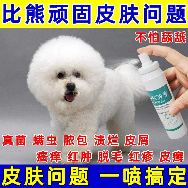 Bichon Skin * Disease Spray For Dogs Ulcers Fungal Infections Mites ...