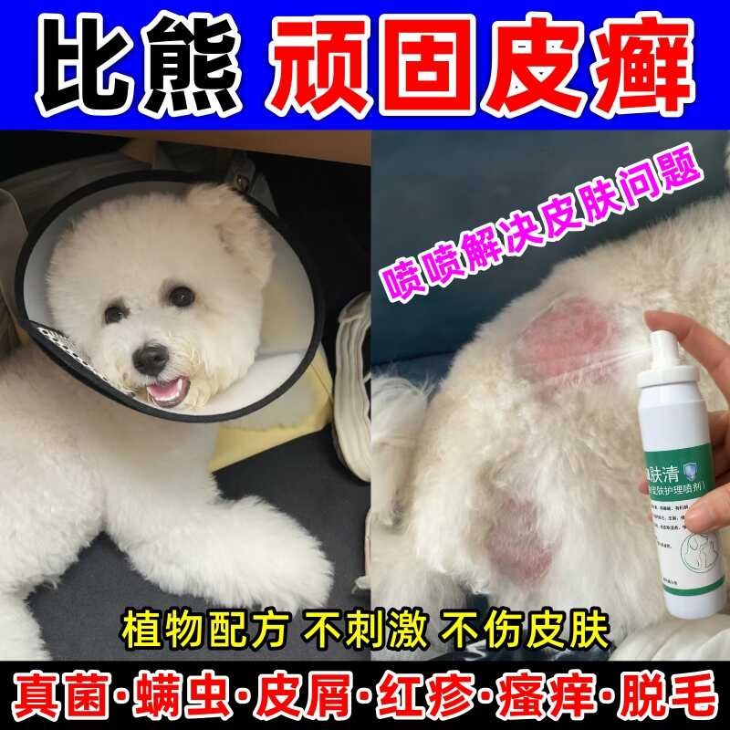 Skin * Bichon Disease Special Dog Fungus Mite Infection Hair Loss ...