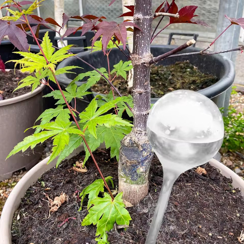 Automatic Plant Watering System Self Watering Device for Indoor Outdoor ...