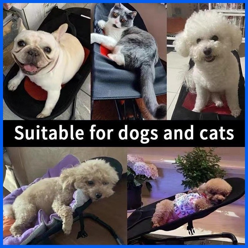 Dog Rocking Chair Dog Bed Pet Rocking Bed Spring Recliner Portable ...