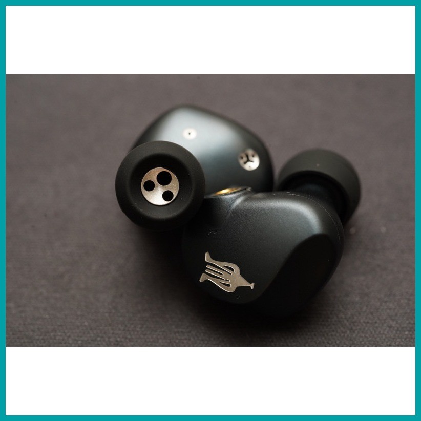 Divinus Velvet / Velvet Widebore Eartips for In Ear Monitors / TWS ...