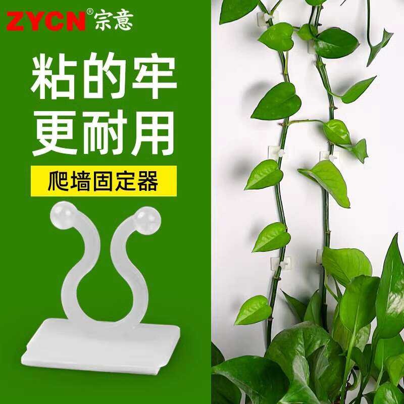 Pothos Fixer Plant Artifact Climbing Vine Home Flower Clamp Wall Clip ...