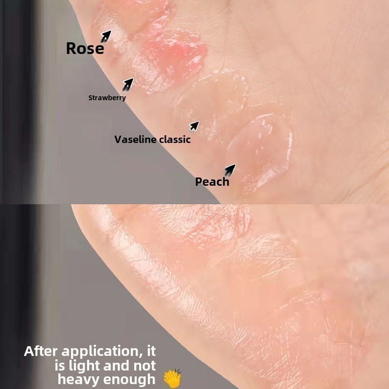 OXYA Vaseline Lip Balm & Oil 6-Piece Set | Triple Ceramide Complex, Non ...