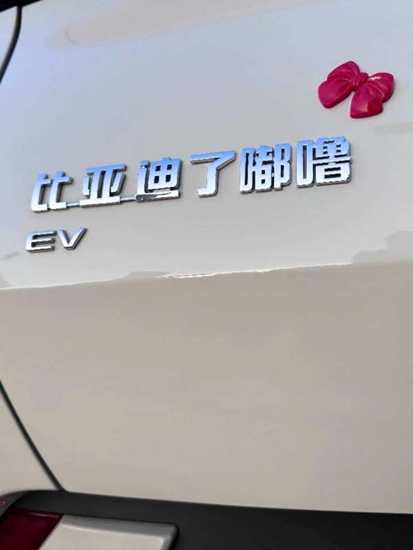 BYD Dudu Original Material 3D Creative Text Modified Car Badge Sticker ...