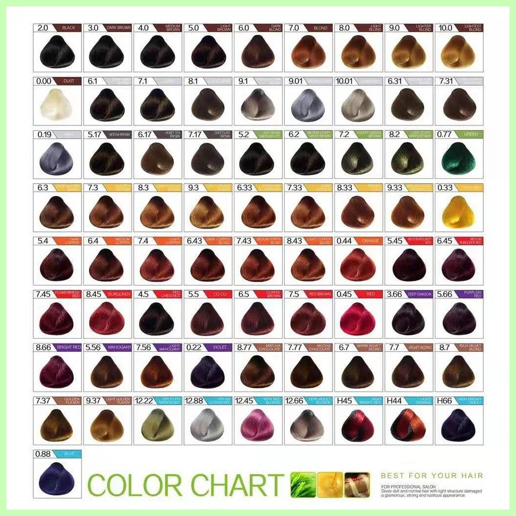 Bremod Hair Color with Oxidizing 100 ml.(2 in 1) Fashion Color Ash ...