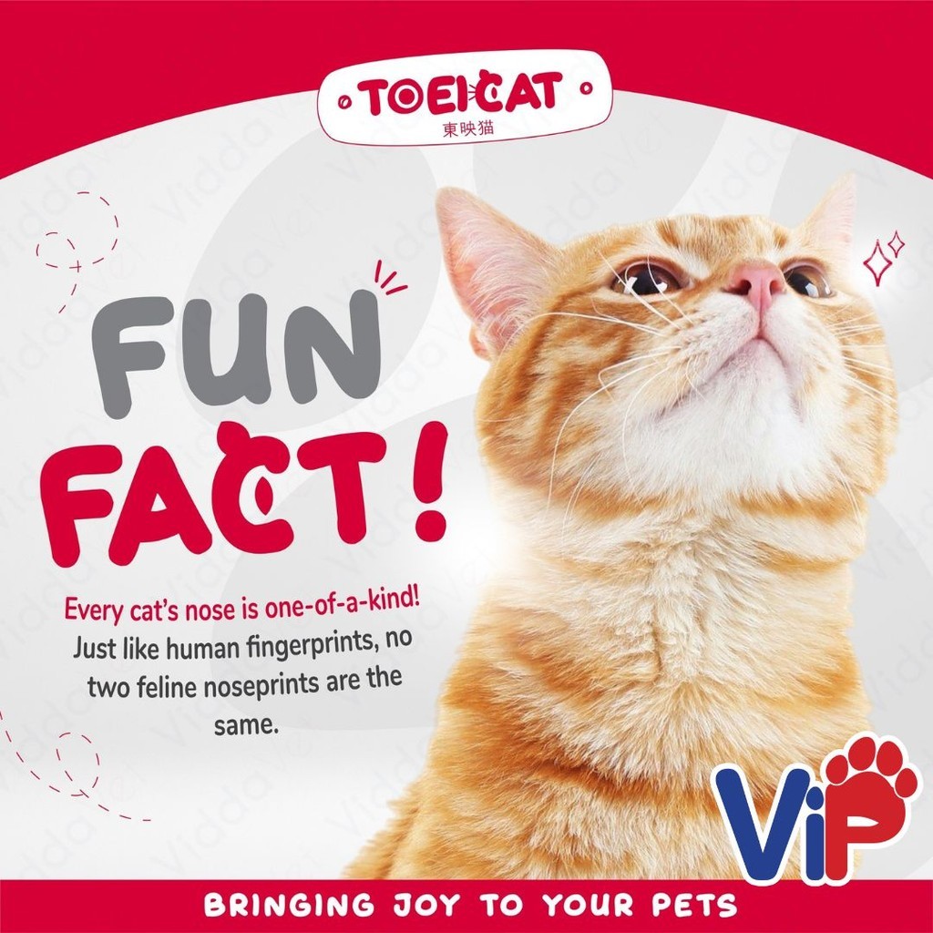Toeicat Tuna Flavor Cat Food 1kg for cats pagkain ng alagang pusa ...