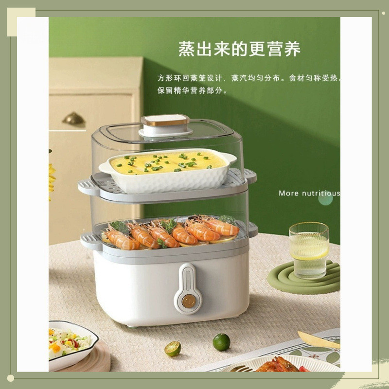 New German Country Small Electric Steamer Automatic Power Cut Off The ...