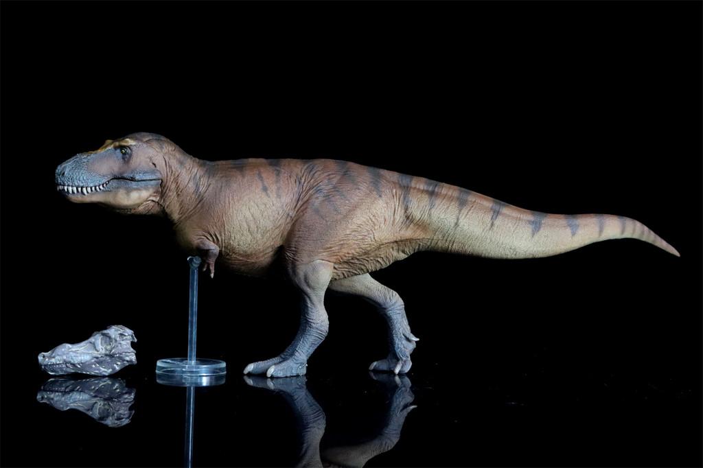 PNSO 1/35 Tyrannosaurus Rex Cameron Model Prehistoric Animal Museum ...