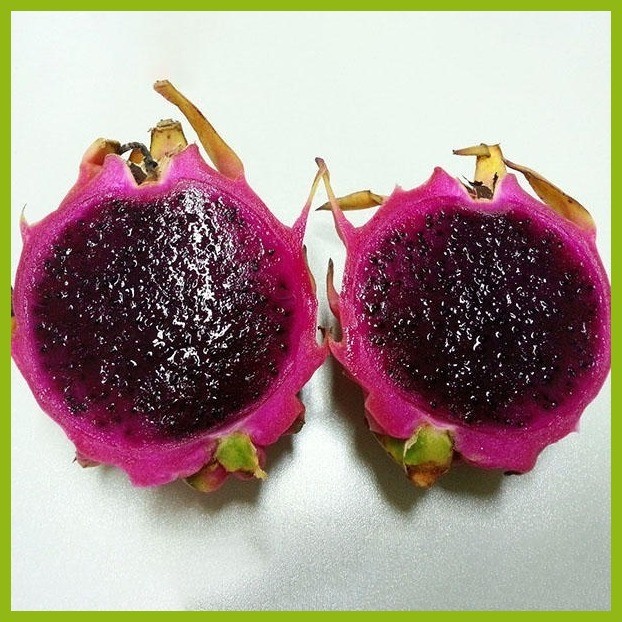 § 40 Pcs Pack Pitaya Seeds Red White Dragon Fruit Tree Seed for Outdoor ...