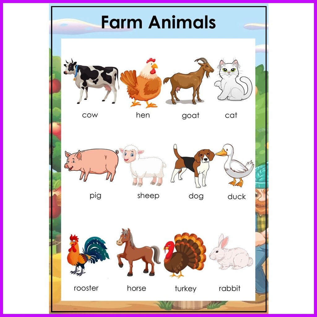 A4 Laminated Farm Animals Educational Chart for Kids | Shopee Philippines