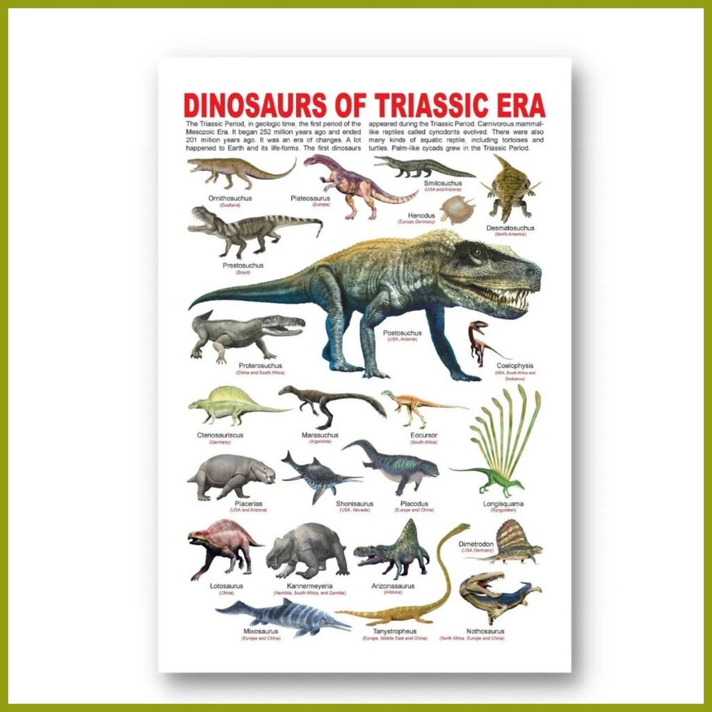 ⇦ Laminated Types of Dinosaur, Dinosaur Names for Kids, Learners and ...