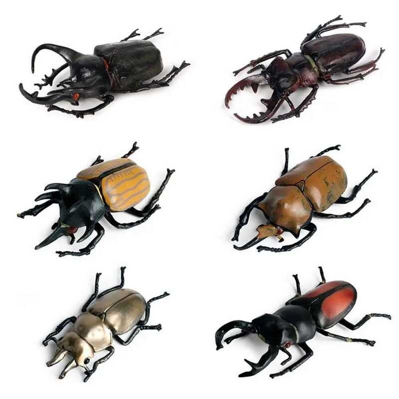Animals Realistic Insect Model Wild Insect Longhornedbee Beetle Action ...