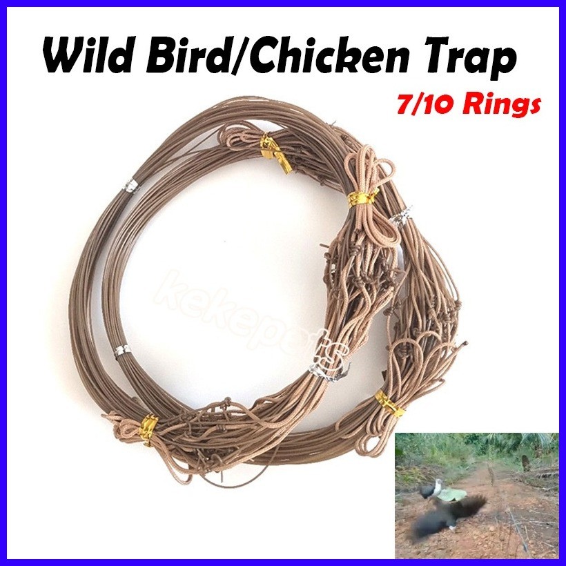 10/7 Rings Wild chicken trap Bird trap for tikling Outdoor Racik Snare ...
