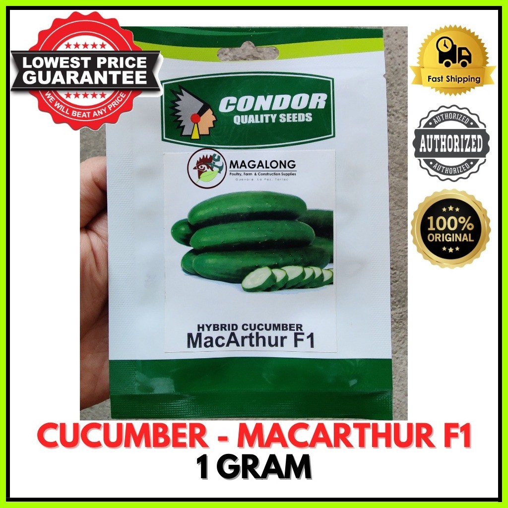 CONDOR SEEDS - CUCUMBER SEEDS - MAC ARTHUR F1 HYBRID 1 Gram | Shopee ...