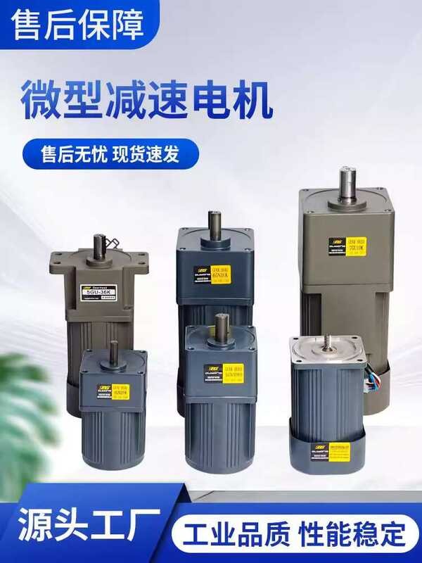 OPG Gear Mini Speed Control Electric Motor AC 220V Assembly Line 6-120 ...