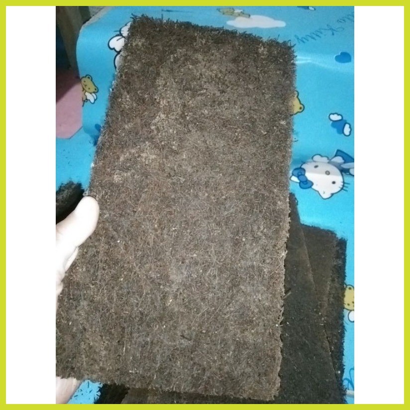 100% Fern Slab for plants (Orchids,and other airplants) | Shopee ...