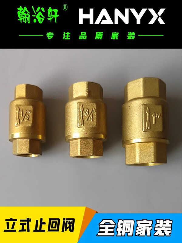 Vertical 1/2" 3/4" 1" Pipe Spring One-Way Water Meter Check Valve ...