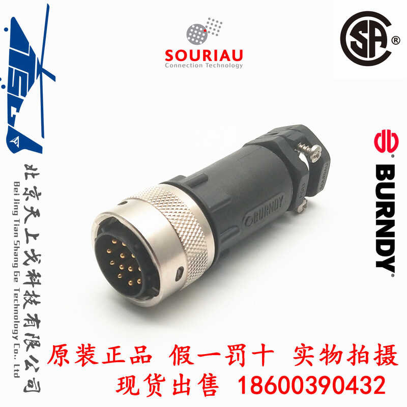 BURNDY SOURIAU Industrial Plug 12-Pin Male PG Gland + 12 Pins | Shopee ...