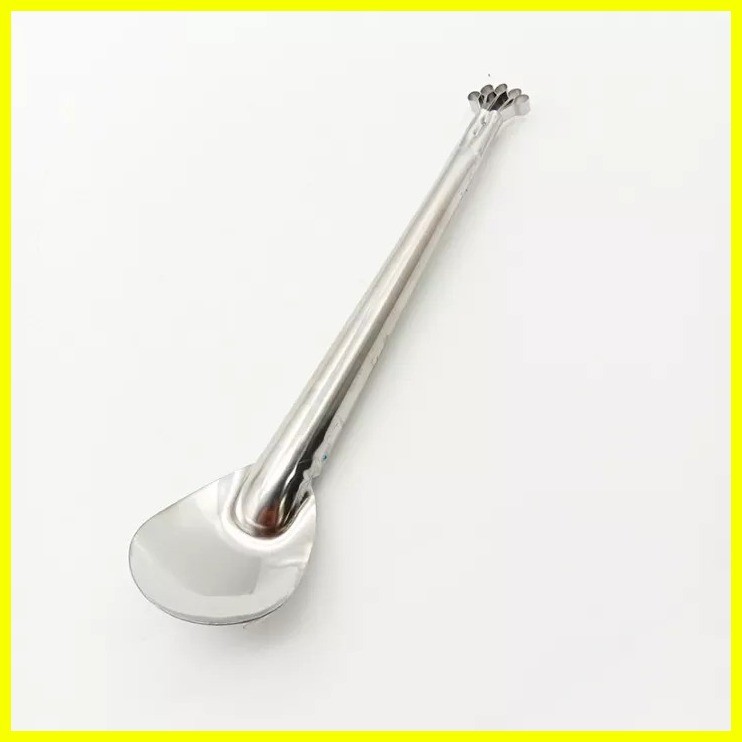 Stainless Steel Coconut Meat Scraper Fish Scaler Remover for Kitchen ...
