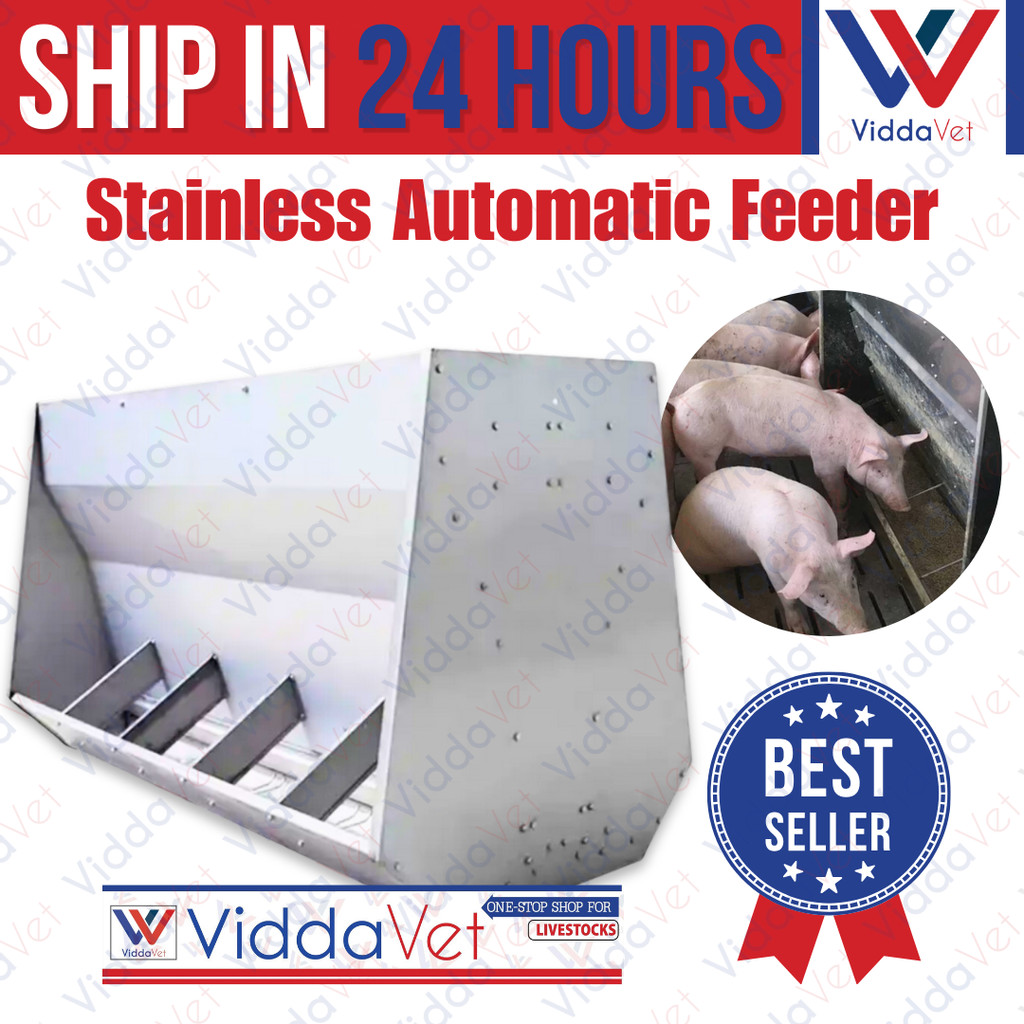 Pig Feeder Stainless pig feeder automatic feeder for pigs Stainless ...