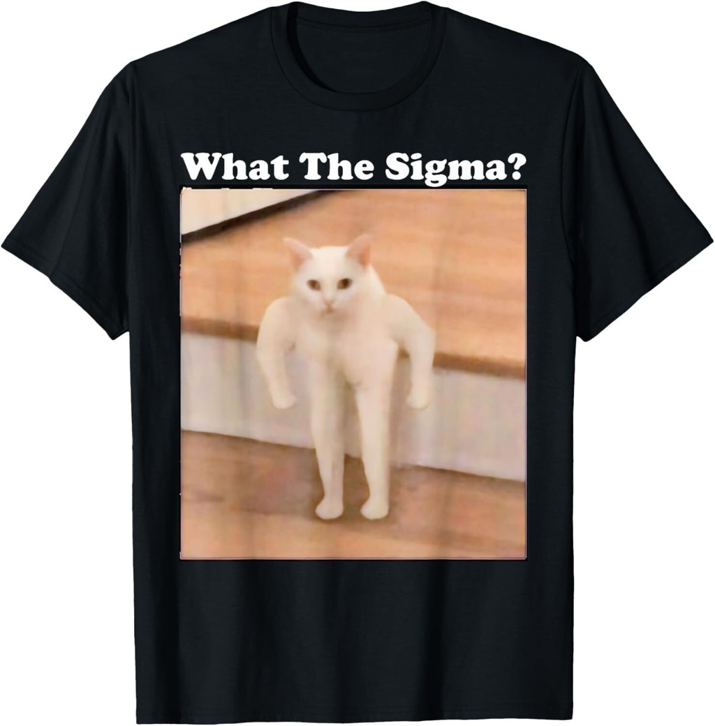 What Sigma Meme Cat Meme Internet Memes Funny Meme Gen Z Pun T-Shirt ...